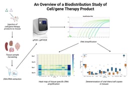 Biodistribution studies for Cell and Gene Therapy Products