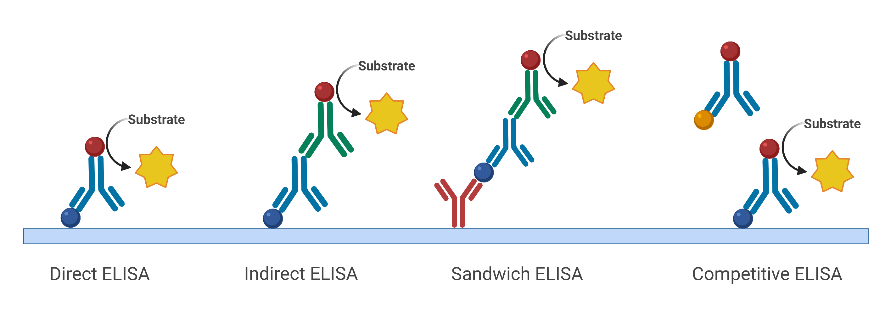 Viral Quantification Methods