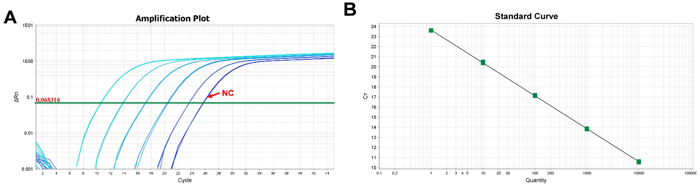 Biodistribution studies for Cell and Gene Therapy Products