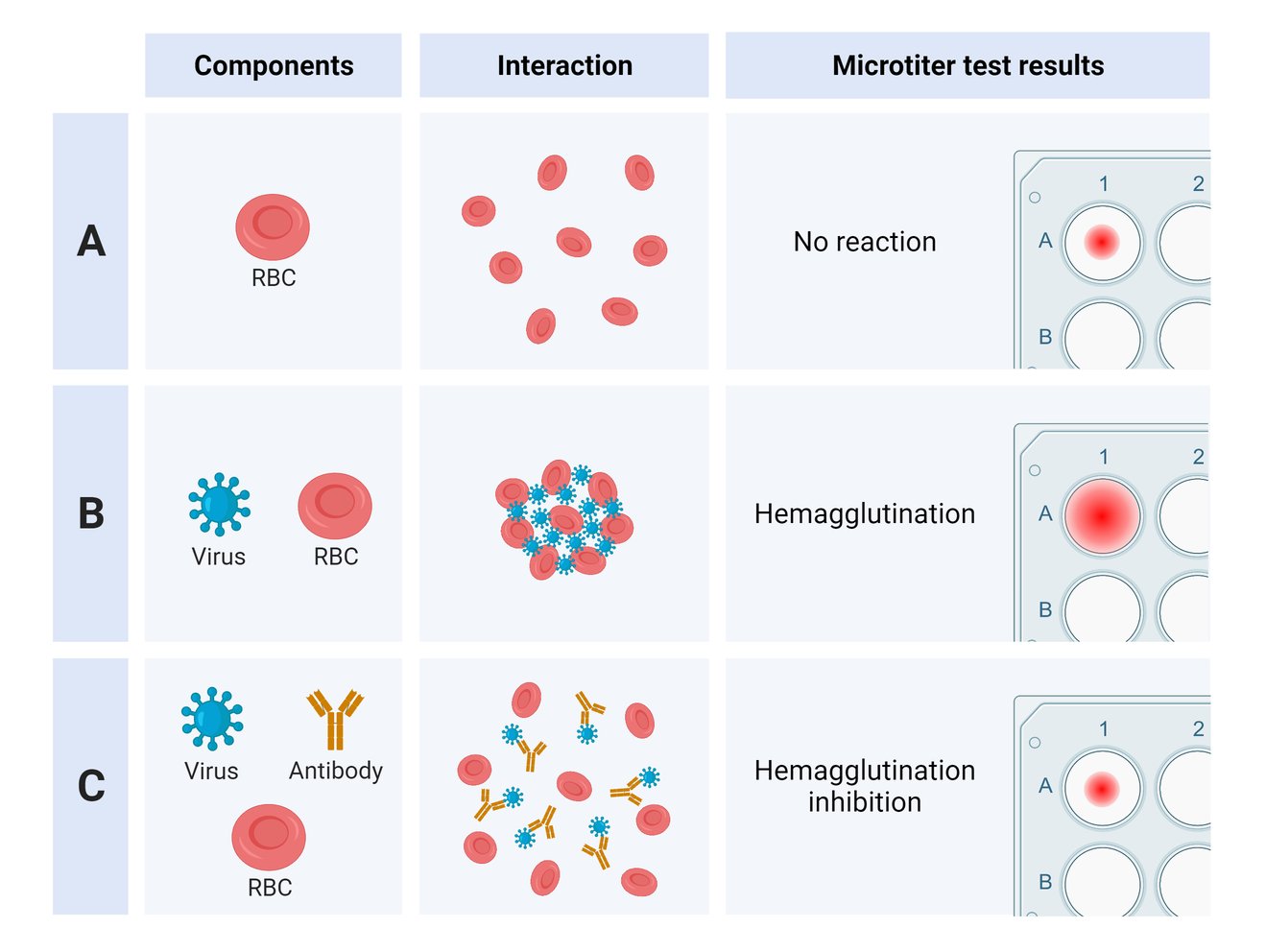Viral Quantification Methods
