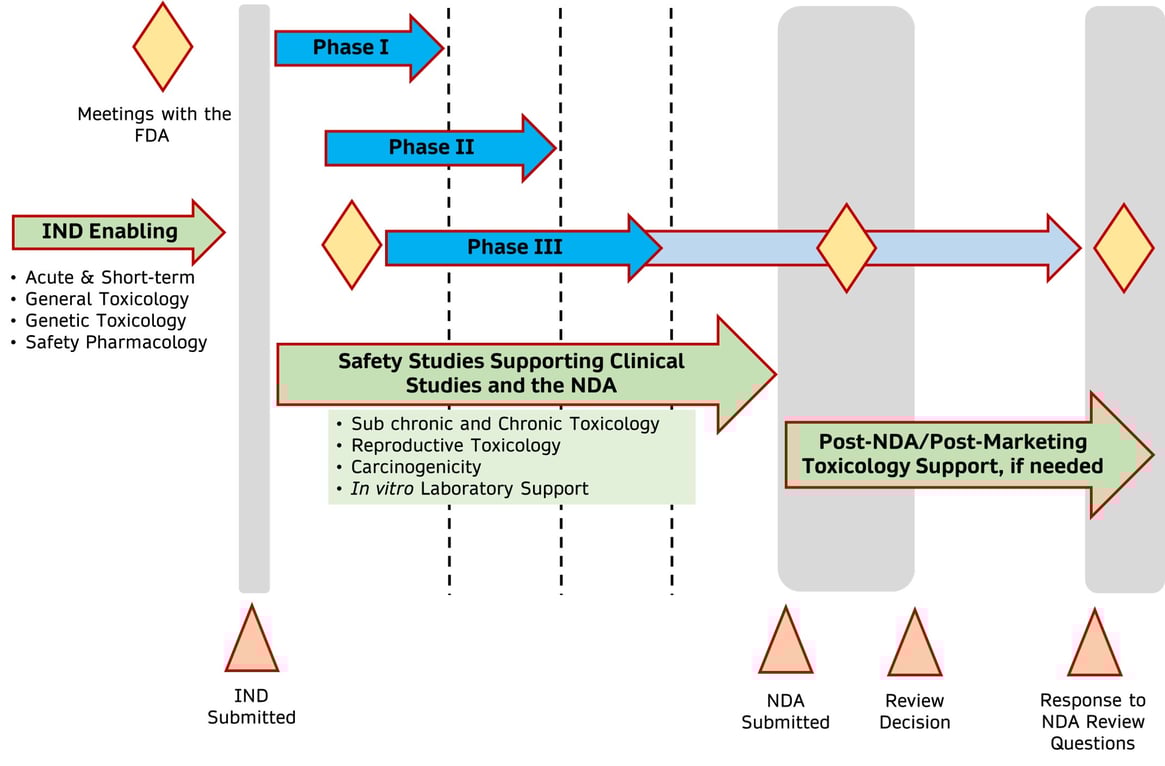 IND-enabling Toxicology Studies
