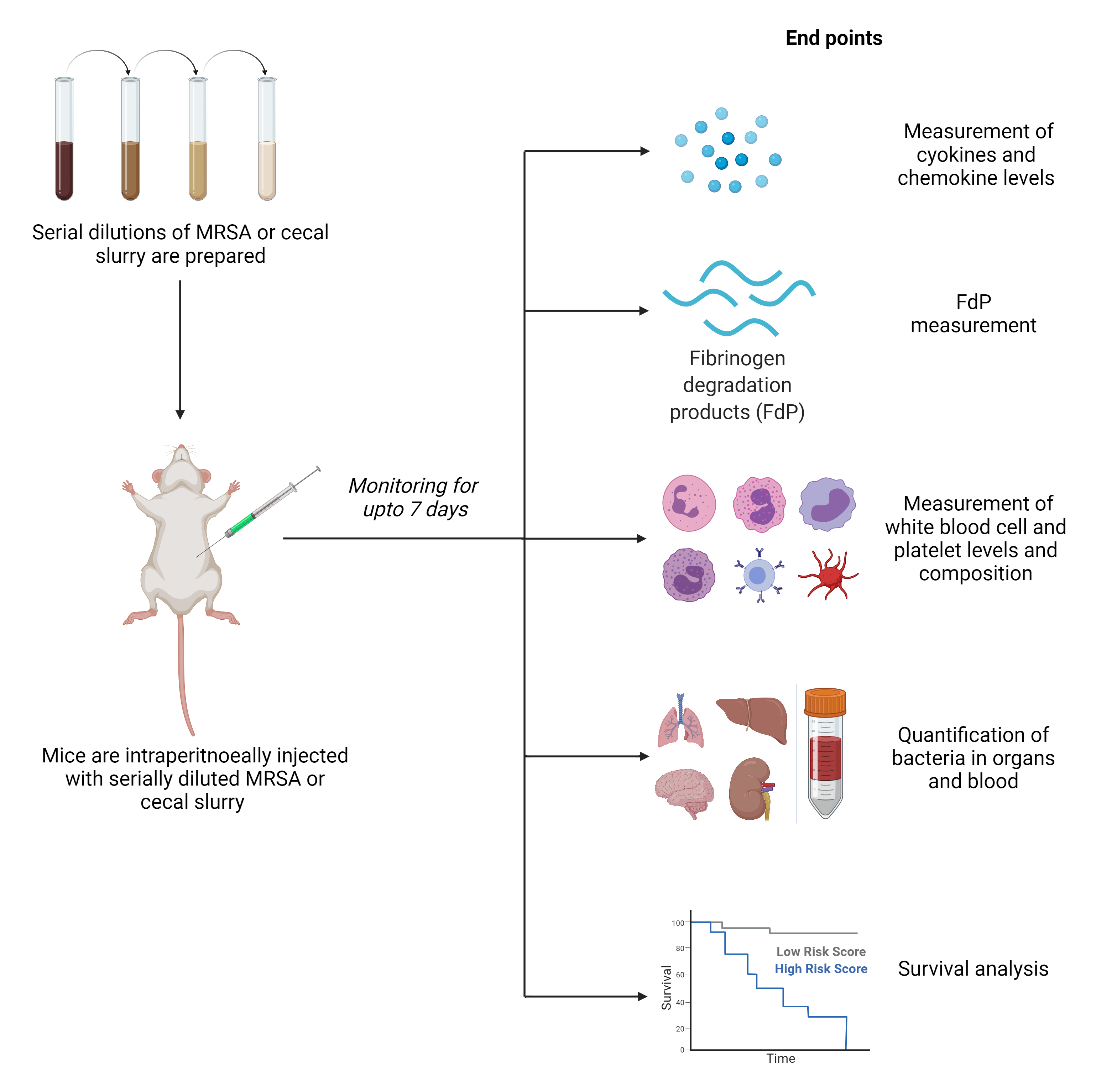 Evaluating Agents for Sepsis Treatment