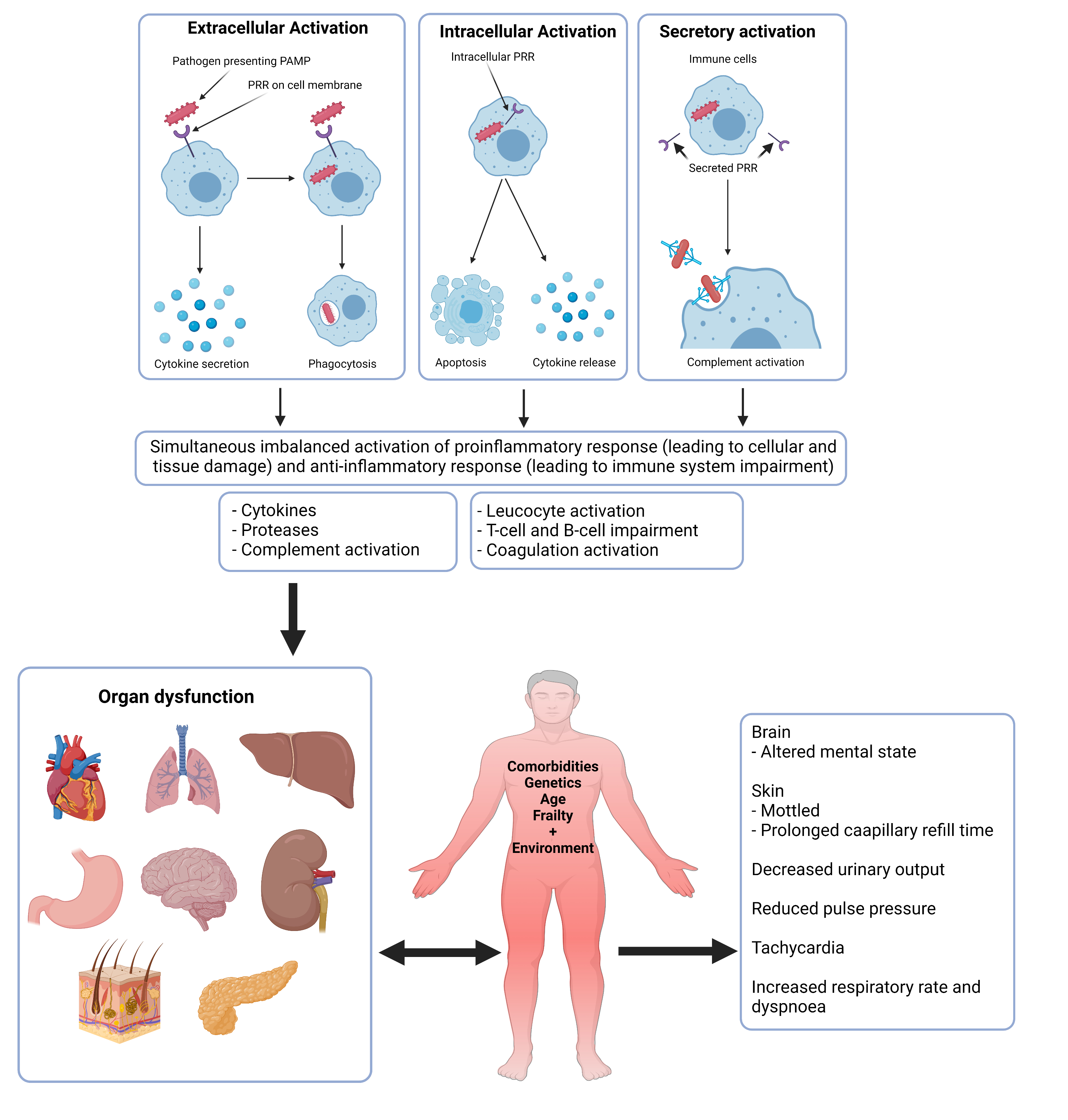 Evaluating Agents for Sepsis Treatment