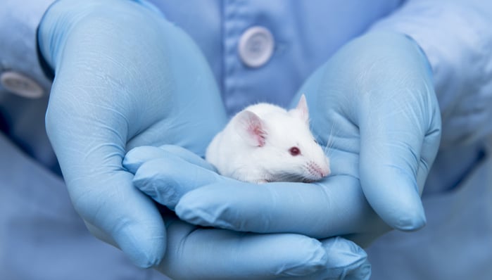 Acute and Repeated-Dose Toxicity Studies
