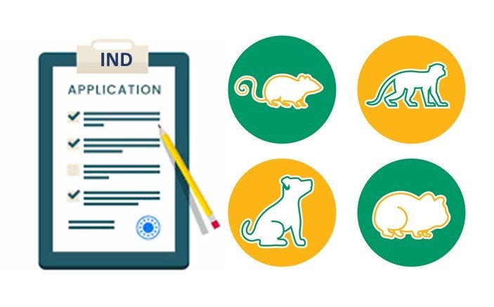 Toxicology Study Design Considerations